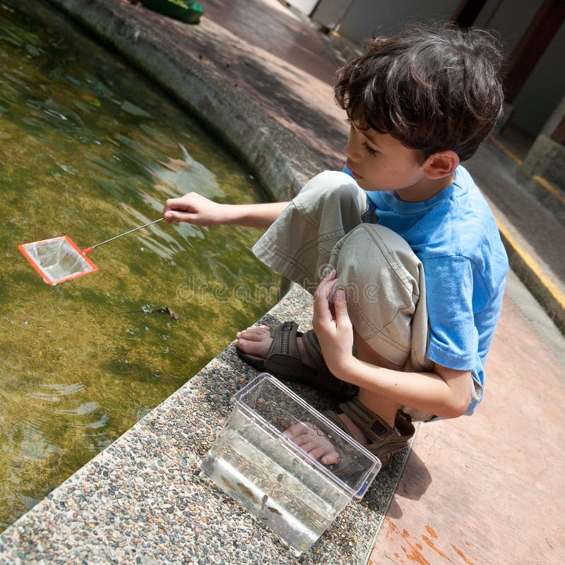 Boy Enjoyingcatching Small Fish Stock Photos - Free & Royalty-Free ...
