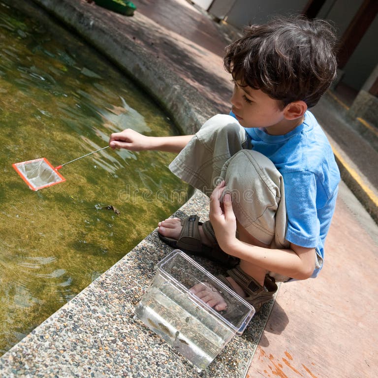 Boy Enjoyingcatching Small Fish Stock Photo - Image of happy, garden ...