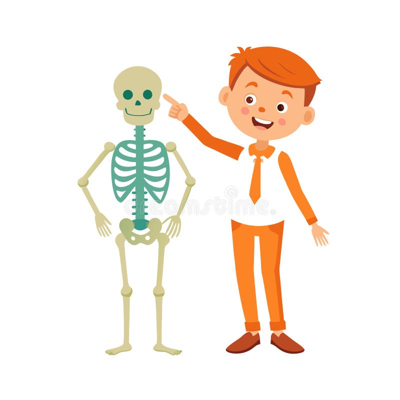 Cartoon Human Bones