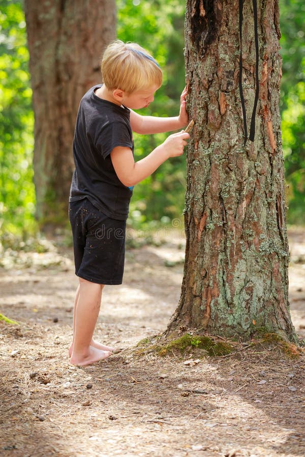 Boy Exploring Bark of a Tree in the Forest Stock Image - Image of ...