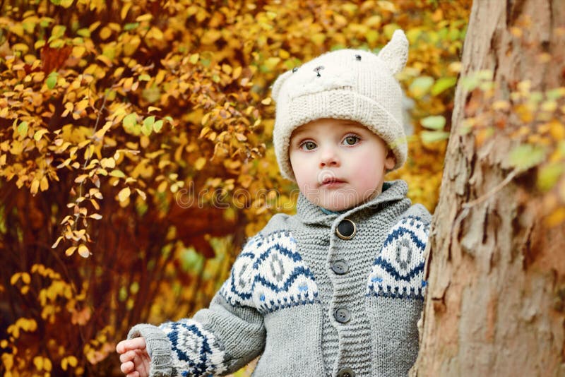 Boy in fall forest stock photo. Image of love, cute, hide - 47097656