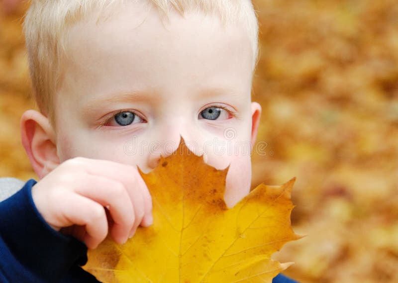 Boy and Fall Leaf stock image. Image of orange, eyes - 14326559