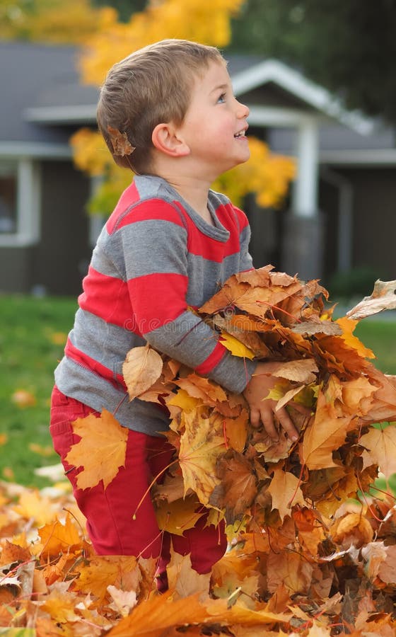 Boy smiling in Autumn stock image. Image of cute, nature - 27043835