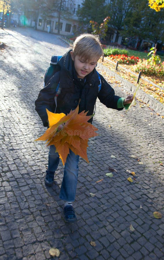 A Boy Fall Leaves on a Sunny Day Stock Image - Image of carefree ...