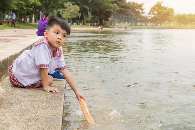 Boy Feeding the Fish with Bread Stock Image - Image of caucasian ...