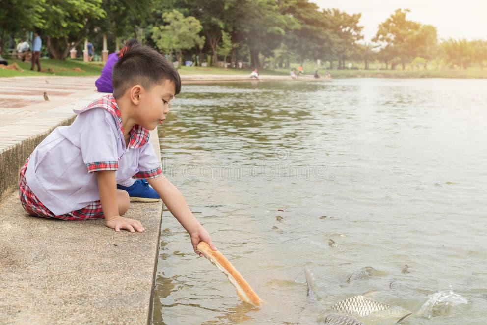 Boy Feeding the Fish with Bread Stock Image - Image of carp, child ...