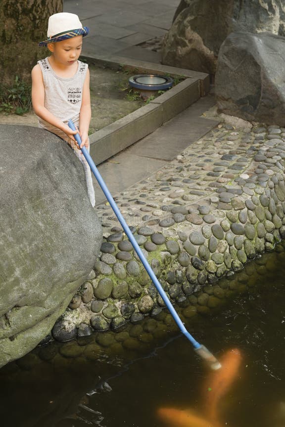 Boy feeding fish stock photo. Image of childhood, child - 57870934