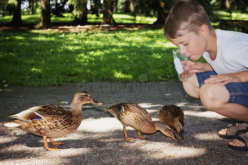 Boy reading a book stock photo. Image of considerate - 32315858