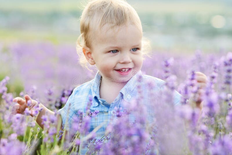 Boy in field stock photo. Image of fragrance, europe - 50151094