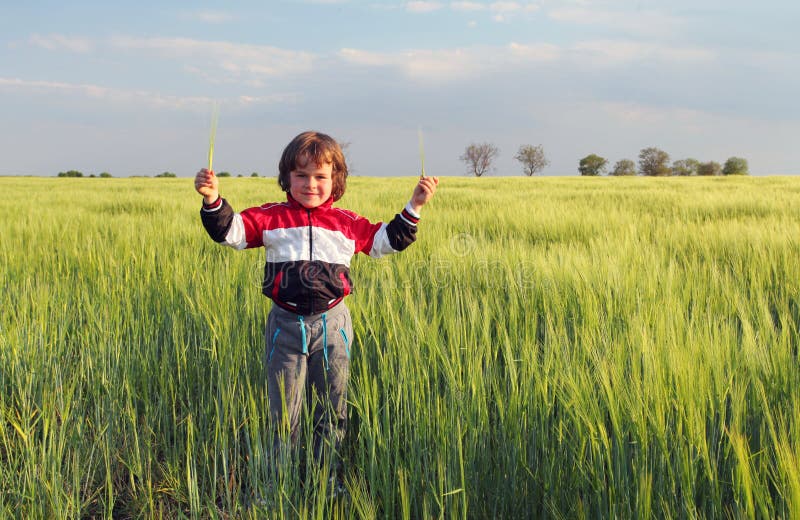 Boy in field, Child stock image. Image of child, grass - 67378599