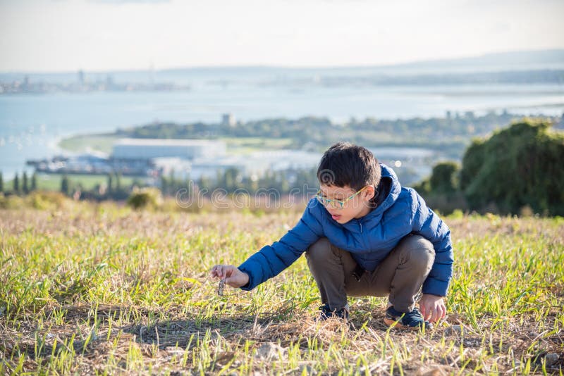 Boy Finding Stone on the Ground Stock Image - Image of explore, happy ...
