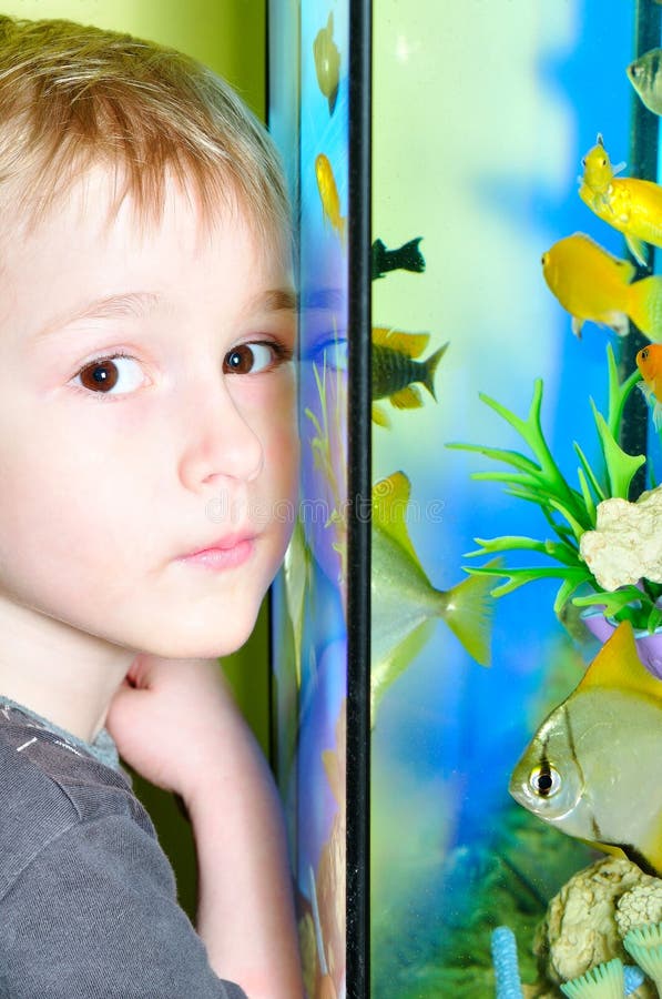 Boy and fish stock image. Image of water, watching, youth - 24102393