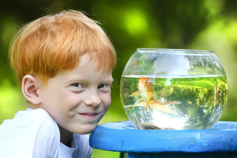 Boy with fish stock image. Image of autumn, family, spring - 29128645