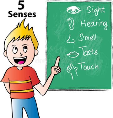 Cartoon Sens Stock Illustrations – 23 Cartoon Sens Stock Illustrations ...