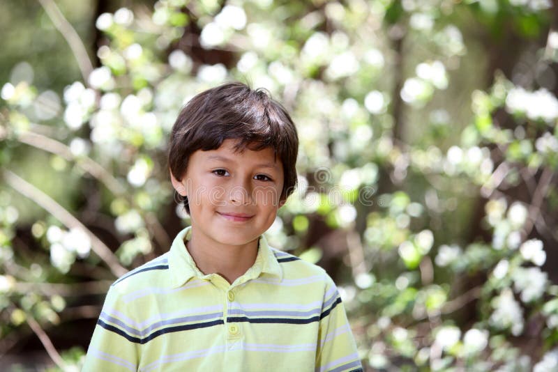 Boy in the forest series stock photo. Image of young - 31275366