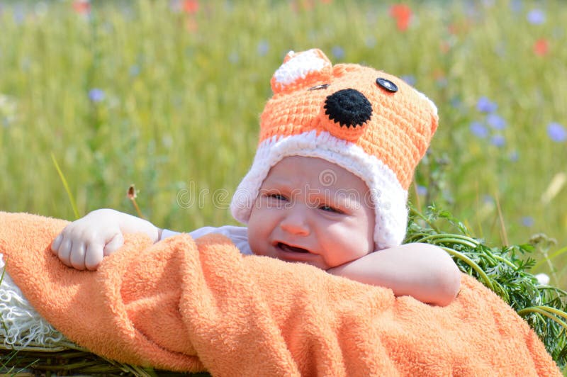 Boy in a Fox Suit in the Field Stock Photo - Image of costume, toddler ...