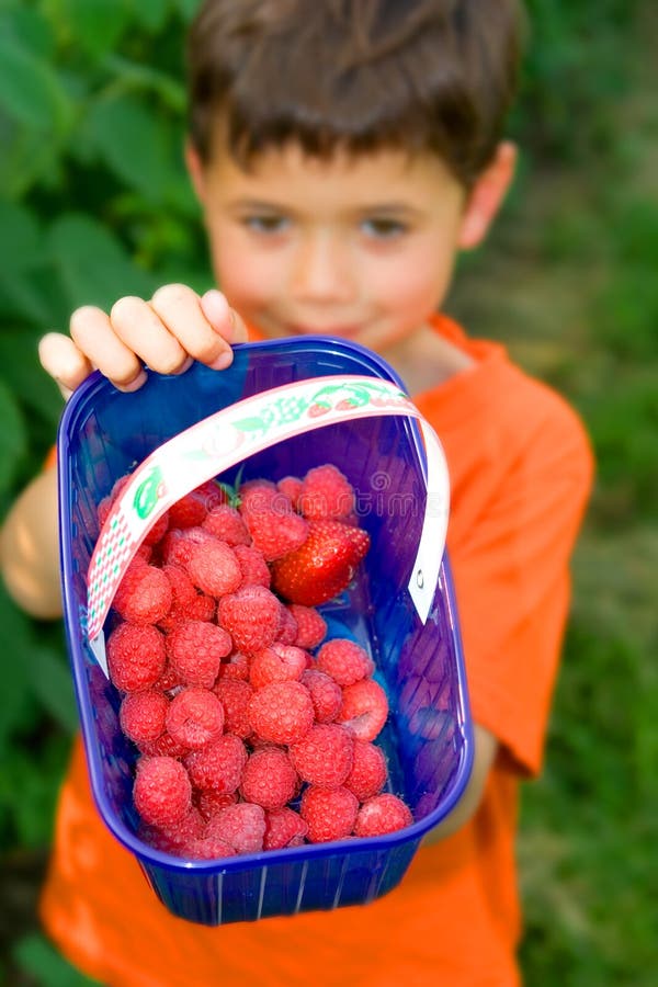 Boy with fresh raspberries stock photo. Image of berry - 2600628