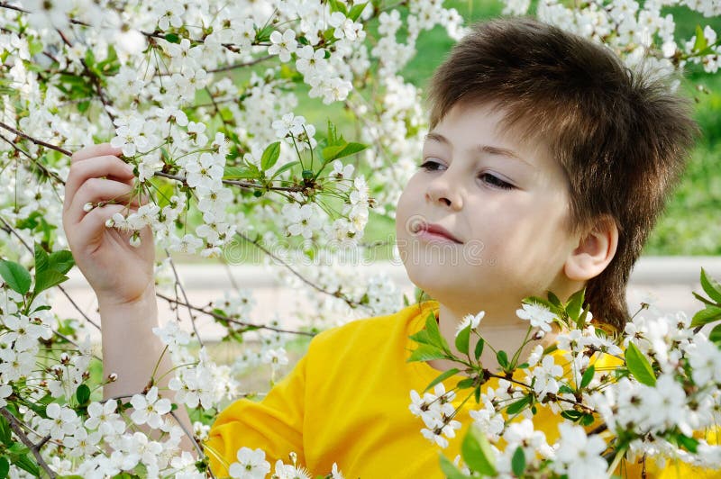 Boy in the Garden in Spring Stock Photo - Image of sunny, garden: 24681866