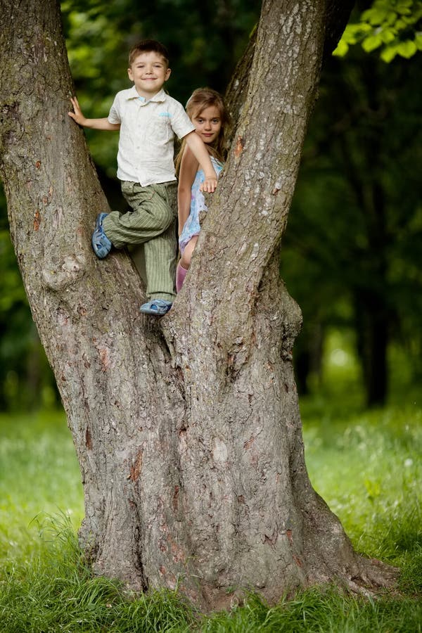 Boy and Girl Climb Big Tree Stock Photo - Image of caucasian, sitting ...
