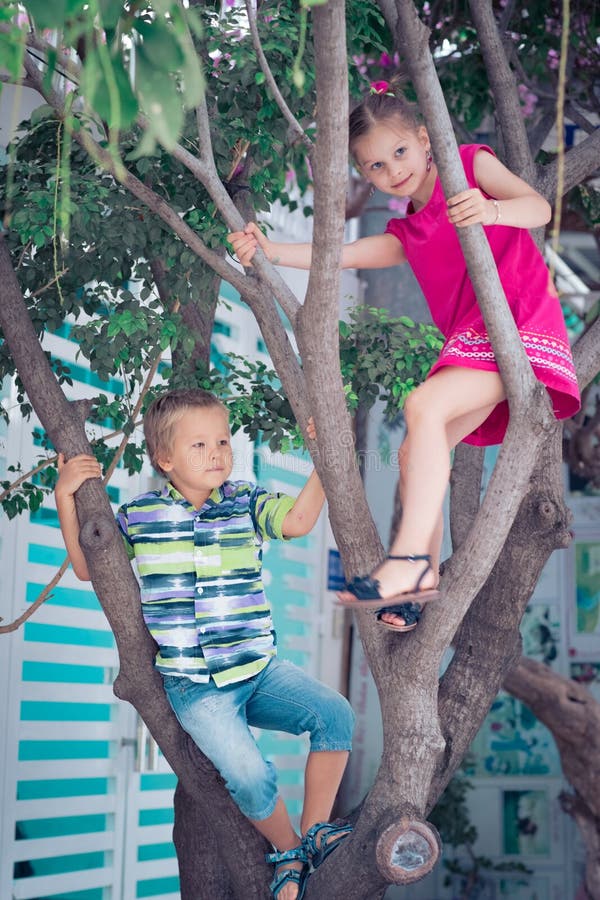 Kids having fun in a tree stock image. Image of face - 175681585