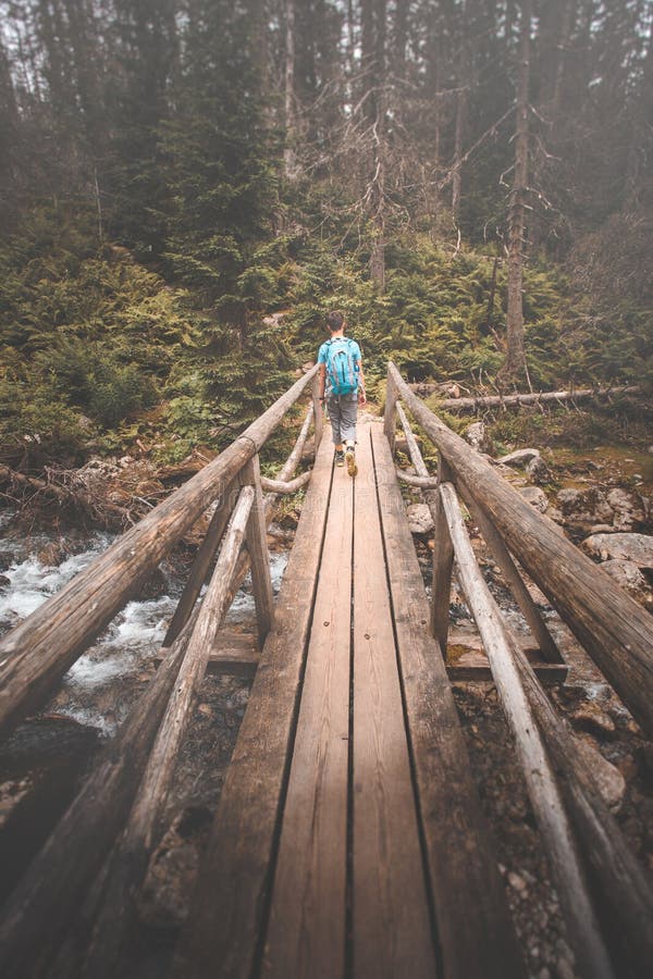 Boy going over bridge stock image. Image of river, nature - 78610945