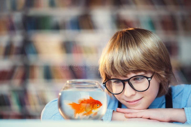 Boy with goldfish stock photo. Image of concept, gold - 92352302