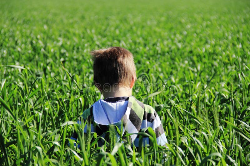 Boy in a green field stock image. Image of green, calm - 23961545