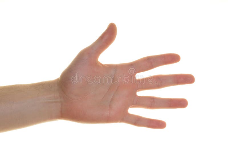 Boy hand stock image. Image of male, object, young, front - 16174585
