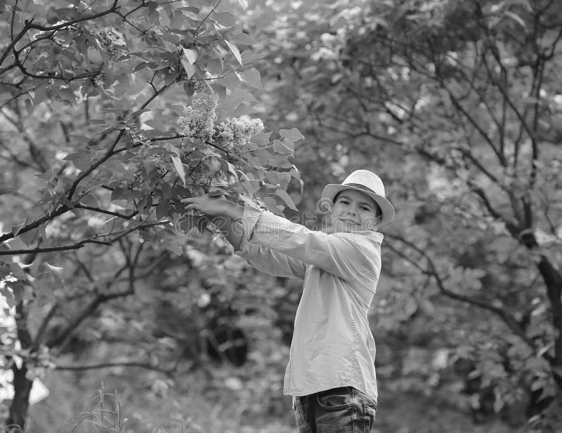 Boy Walks in the Spring Botanical Garden Where Flowers Bloom Stock ...
