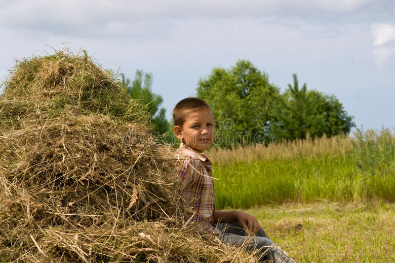 Boy and hay stock image. Image of vacation, grass, person - 20243337
