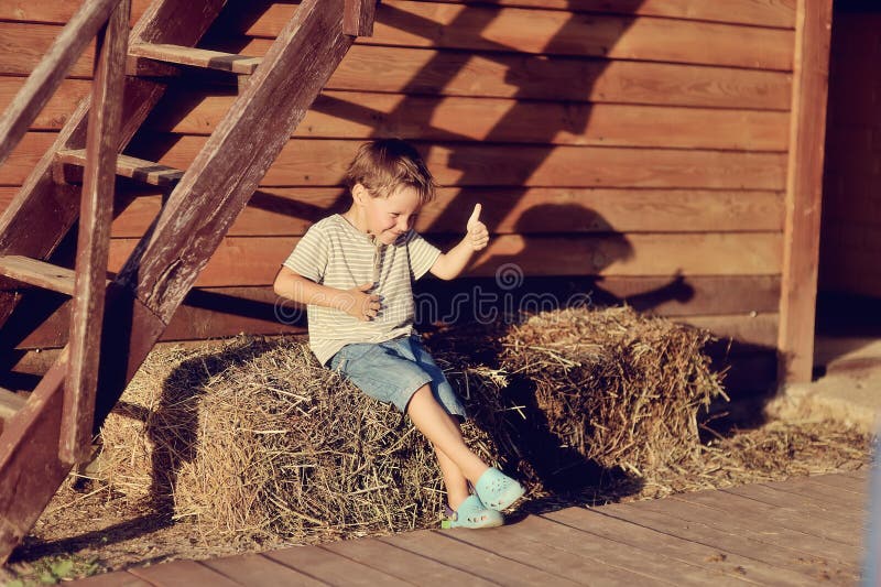 The boy on hay stock image. Image of loft, pine, traditional - 26154731