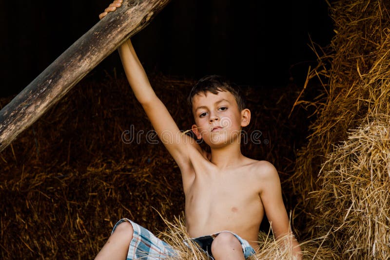 Boy on hay stack stock photo. Image of attractive, summer - 100242244