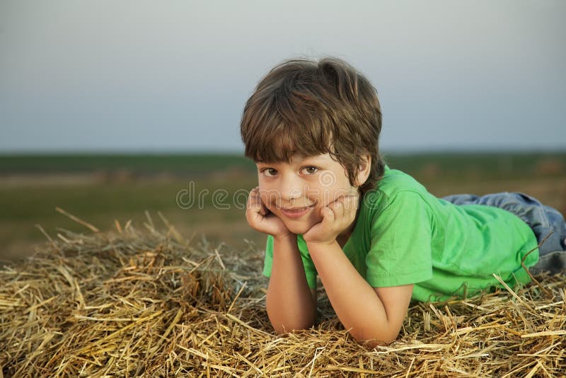 Boy in a Haystack in the Field Stock Image - Image of field, happiness ...
