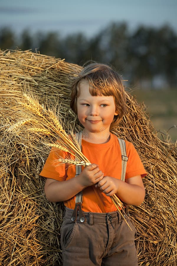 Boy in a Haystack in the Field Stock Photo - Image of happiness ...