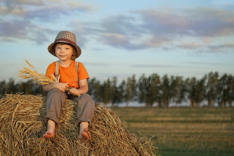 Boy in a Haystack in the Field Stock Photo - Image of blue, gold: 64634958