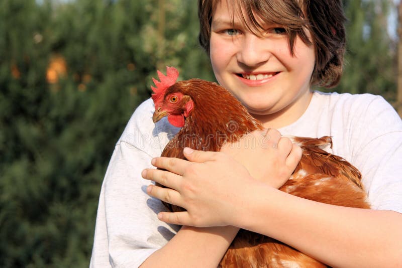Boy with hen stock photo. Image of chickens, poultry - 19200006
