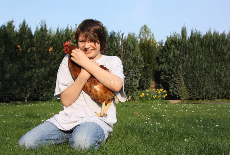 Boy with hen stock photo. Image of chicken, idyllic, outdoors - 19200068