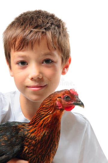 1,062 Boy Hen Stock Photos - Free & Royalty-Free Stock Photos from ...