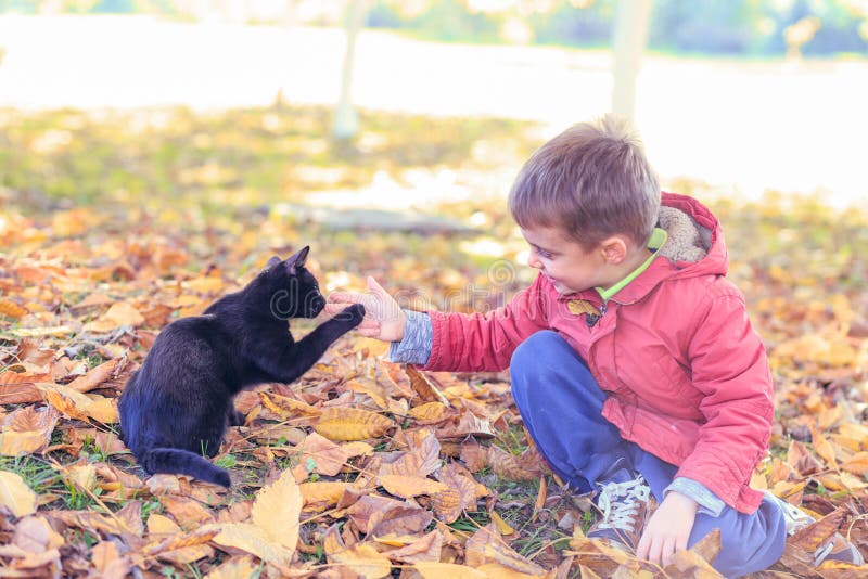 Boy and his cat stock photo. Image of holding, caucasian - 61872988 Boy and his cat stock photo. Image of holding, caucasian - 61872988