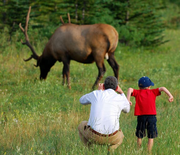 A boy, his dad, and an elk stock photo. Image of father - 3035968