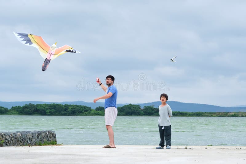 A Boy and His Dad Fly a Kite. Stock Image - Image of sunlight, together ...