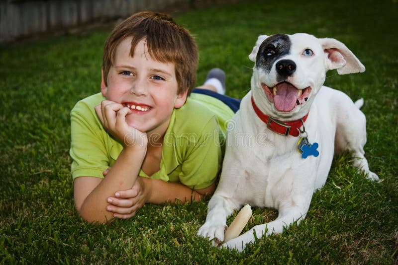 Boy and his dog stock photo. Image of child, white, offspring - 5048236