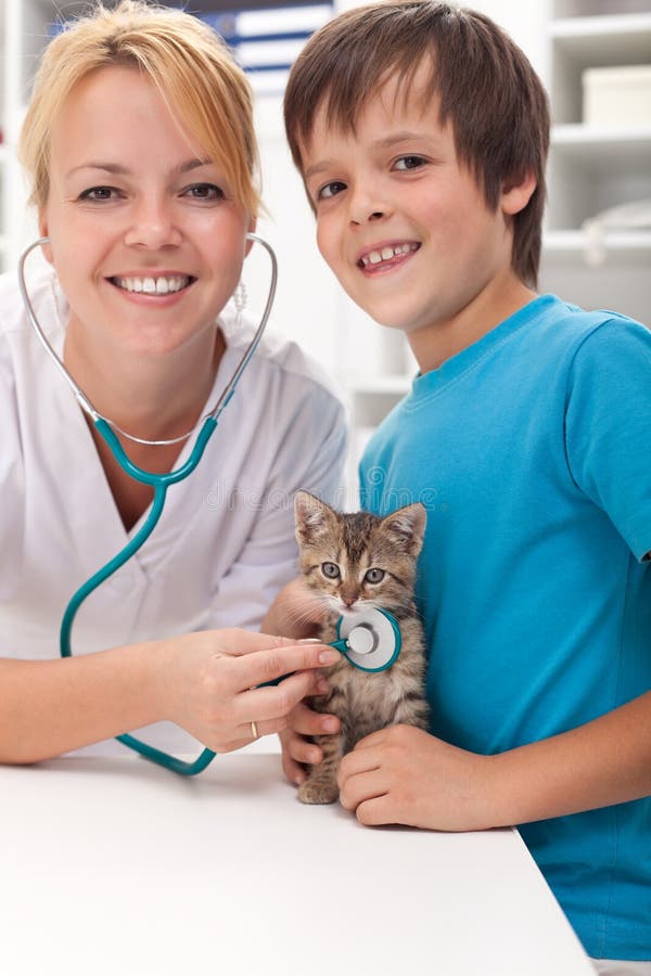Boy and His Kitten at the Veterinary Office Stock Image - Image of ...