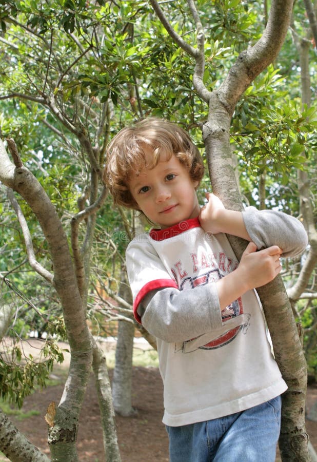 A boy in his tree stock image. Image of playing, climbing - 5305687