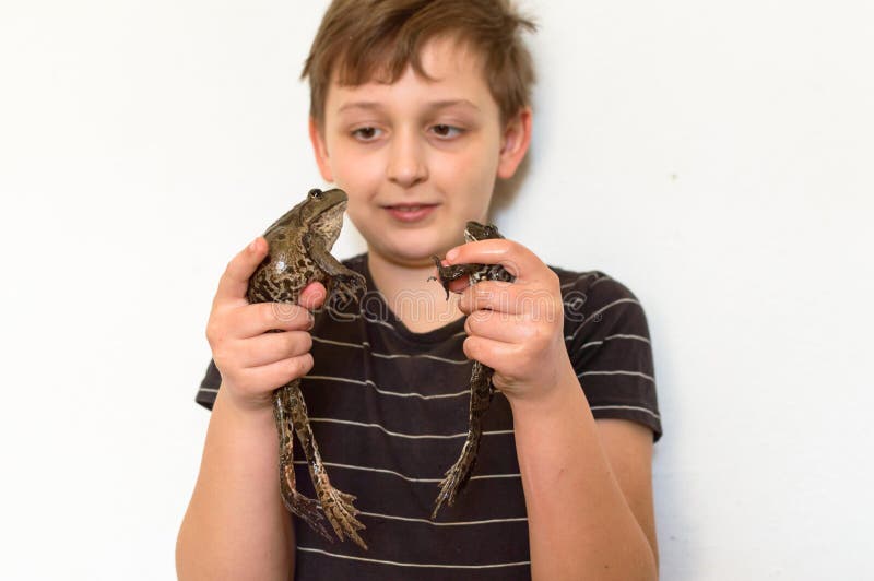 Boy Holding a Big Toad in His Hands. Two Frogs Stock Image - Image of ...
