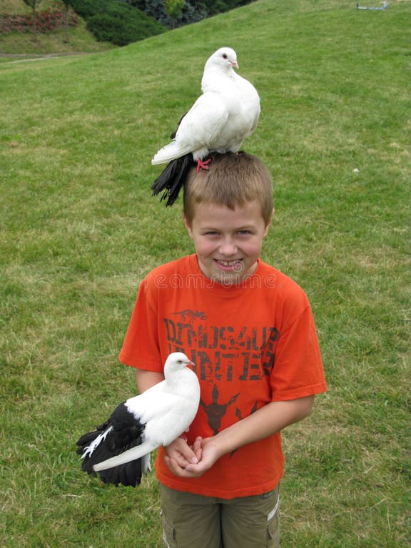 Boy holding a dove stock photo. Image of outdoor, animals - 25158674