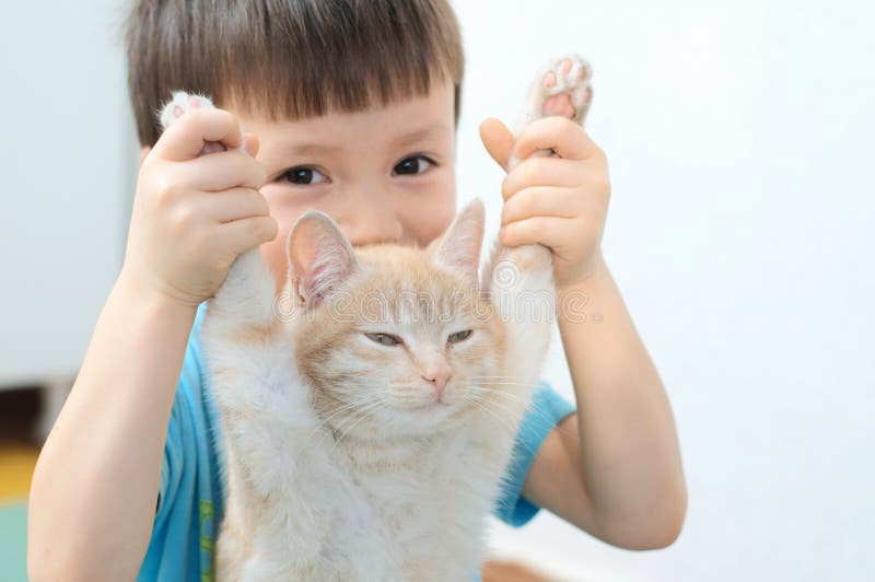 Boy Holding Forelegs of Lazy Ginger Cat Stock Photo - Image of animal ...