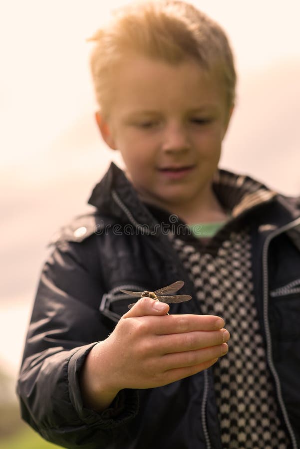 Boy Holding Little Dragonfly Stock Image - Image of holding, biology ...
