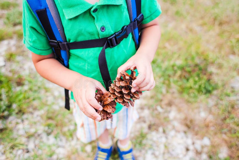 The Boy is Holding Pine Cones Stock Photo - Image of fall, autumn ...