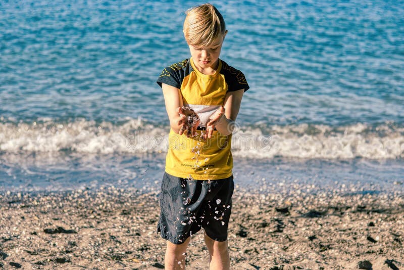 Boy Holding Seashells on Beach Stock Photo - Image of shellfish, coast ...